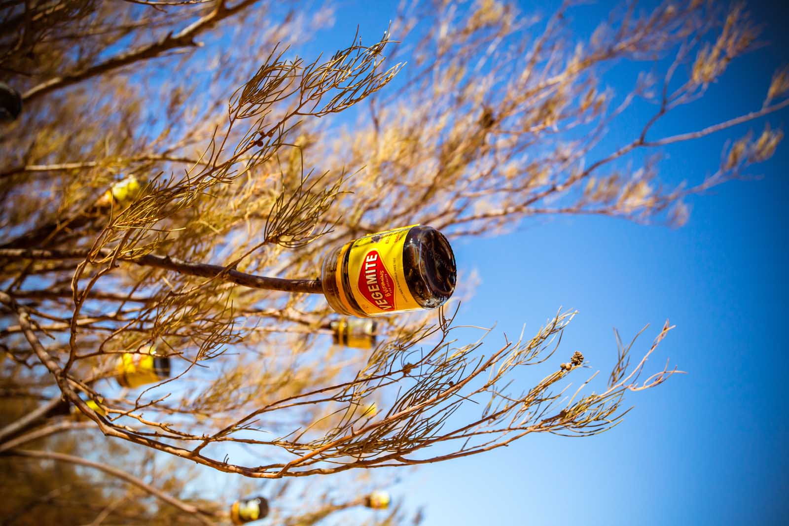 Australian Food: 24 Australian Dishes You Have to Try - Traveling Tour ...