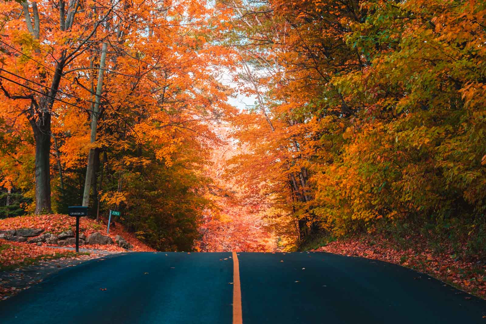 25 Best Day trips from NYC In 2023 - Traveling Tour Guides | Your Dream ...