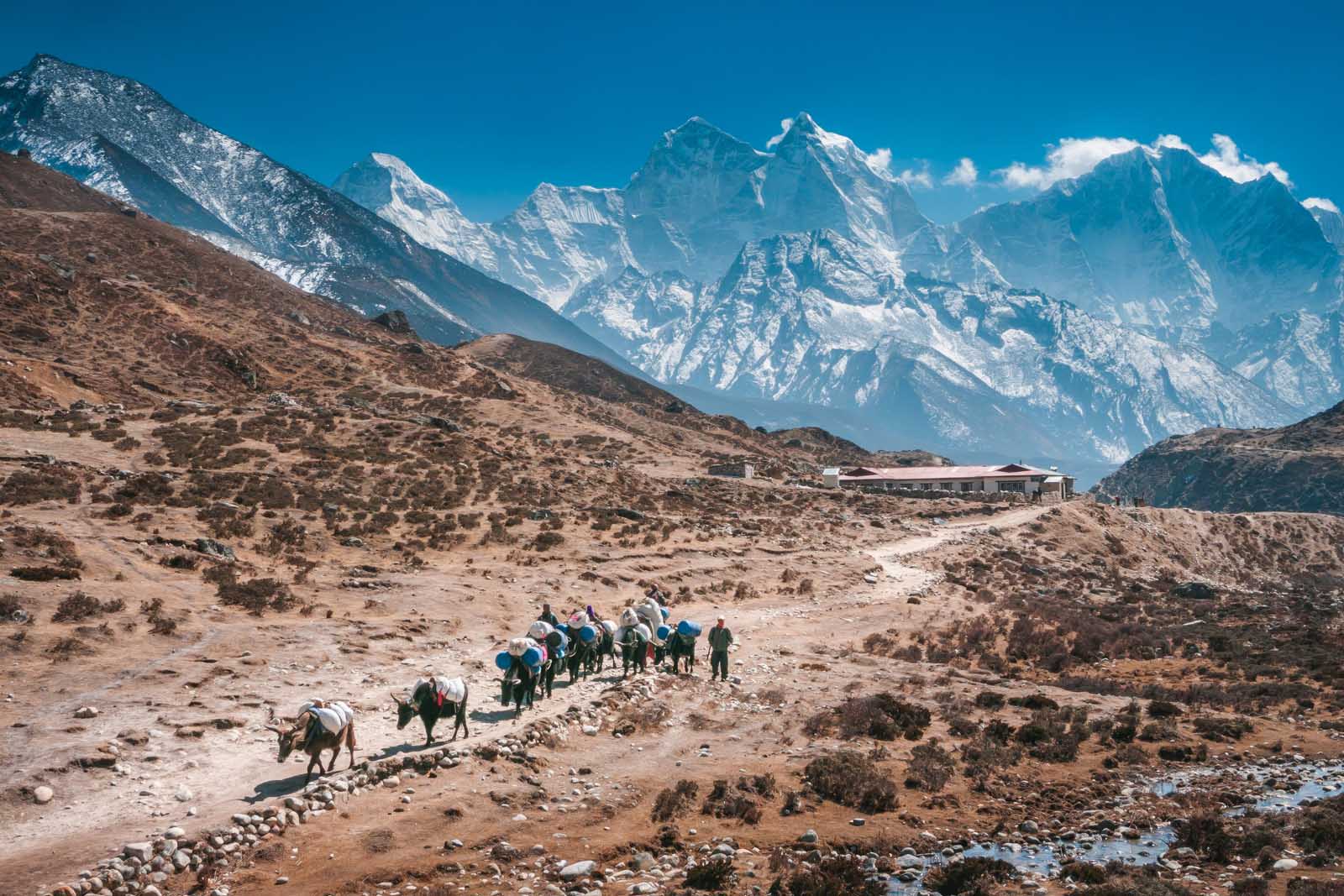 Everest Base Camp Trek - Ultimate Guide for 2023 - Traveling Tour ...