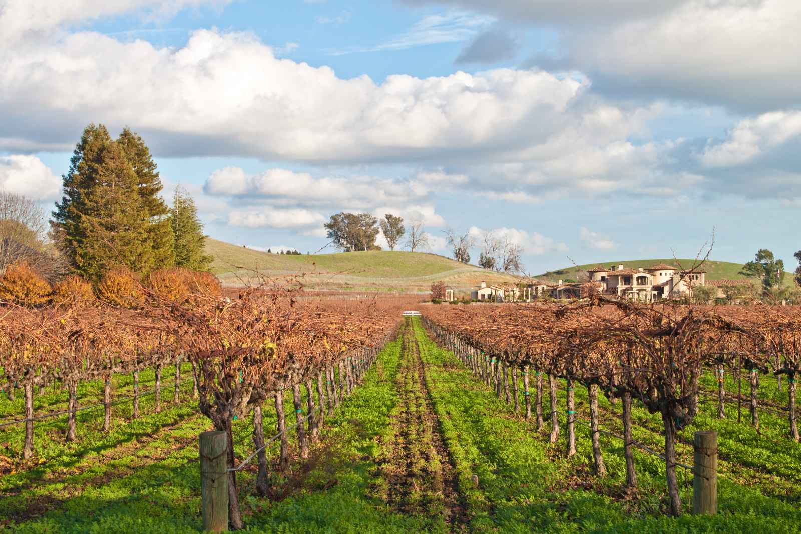 The 18 Best Napa Valley Wineries to Visit in 2023 - Traveling Tour ...